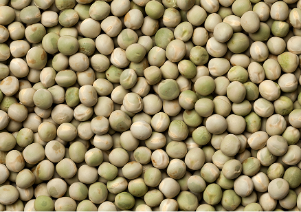 Variety Pack – CRAVIES